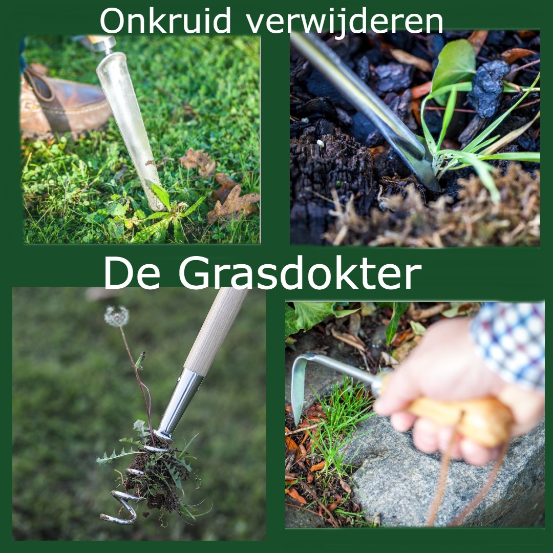 Hoe verwijder je onkruid in het gazon? – De grasdokter| Tips voor een ...